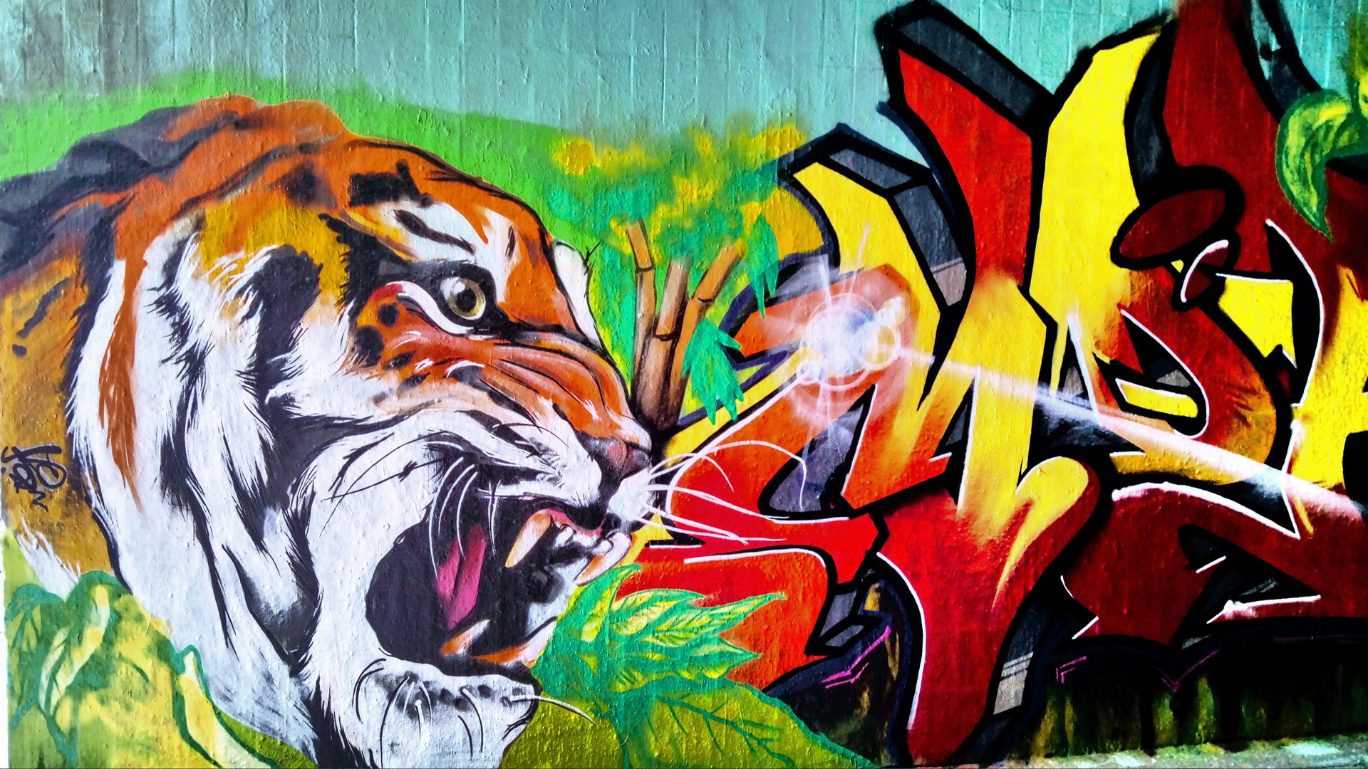 Tiger Graffiti Foto & Bild | architektur, straßen & brücken ...