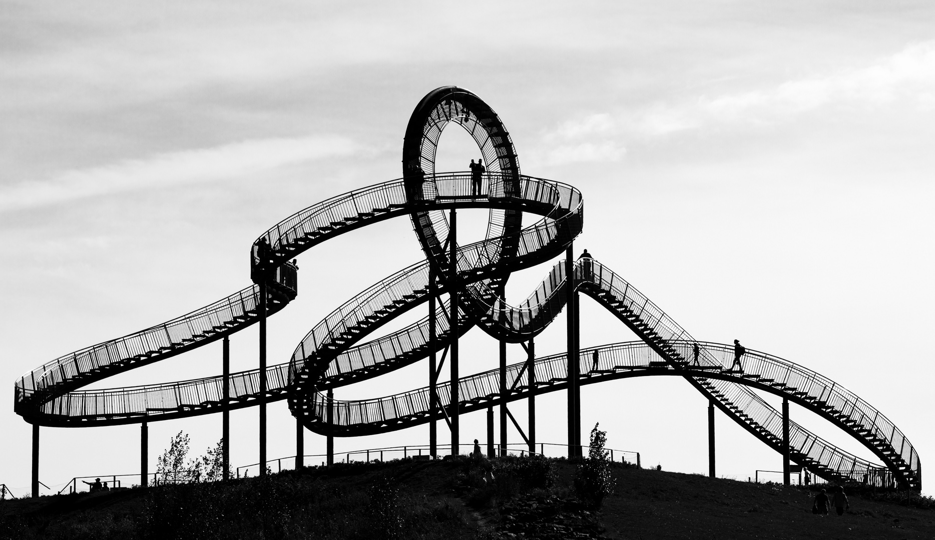 Tiger & Turtle Foto & Bild | kunstfotografie & kultur, gemälde ...