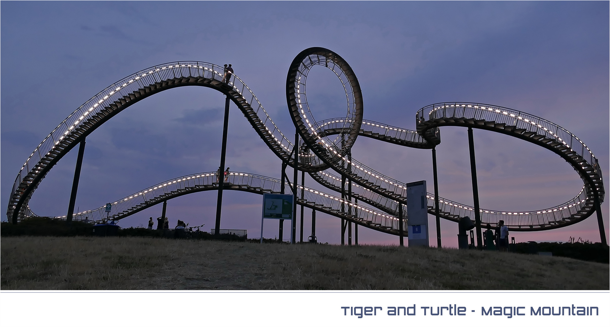 TIGER + TURTLE Foto & Bild | abend, kunst, blaue stunde Bilder auf ...