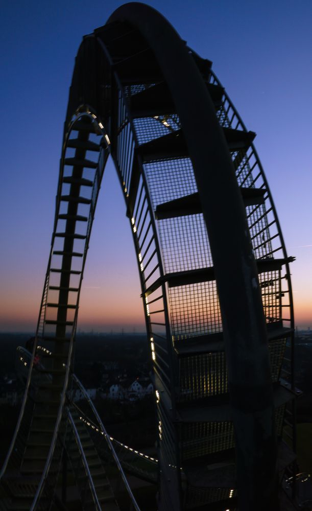 Tiger Turtle Looping Foto & Bild | nature, sunset, sonnenuntergang ...