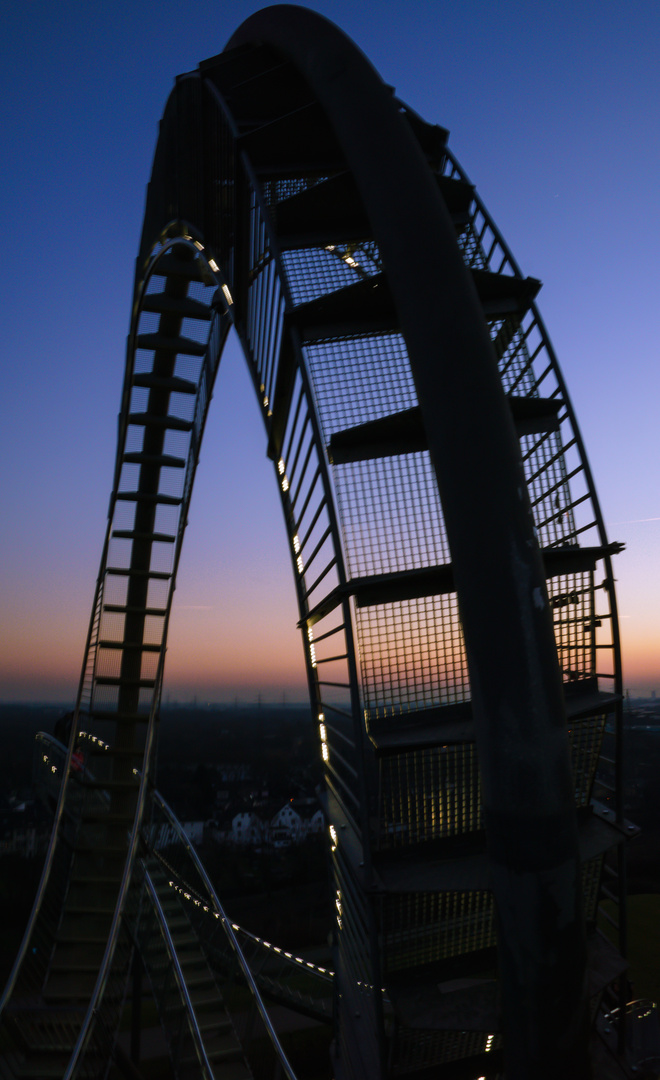 Tiger Turtle Looping Foto & Bild | nature, sunset, sonnenuntergang ...