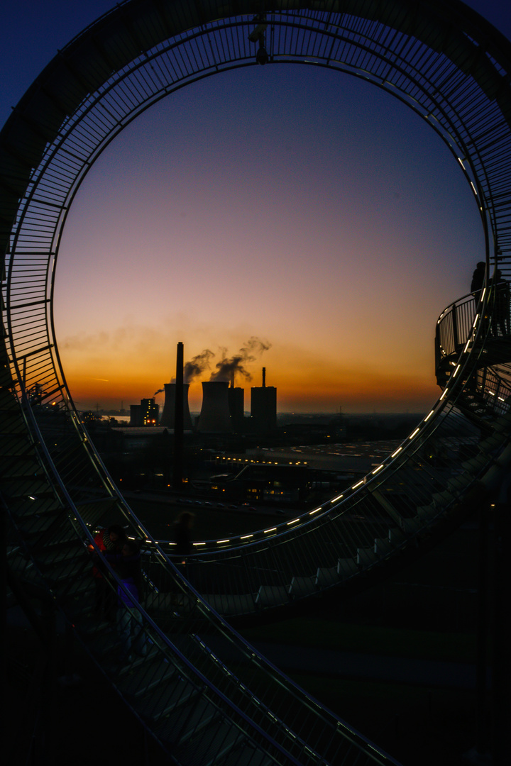Tiger Turtle Looping golden hour Foto & Bild | nature, sunset ...