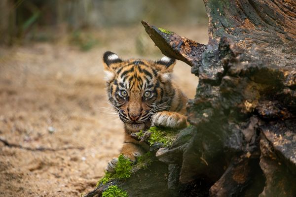 Natur, Naturbilder, Naturfotografie