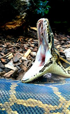 Mannheim Bilder & Fotos