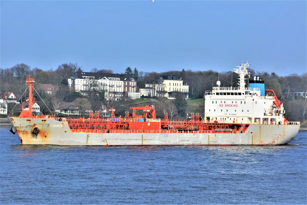 TIGRIS Foto & Bild | bilder, fotos, nikon Bilder auf fotocommunity