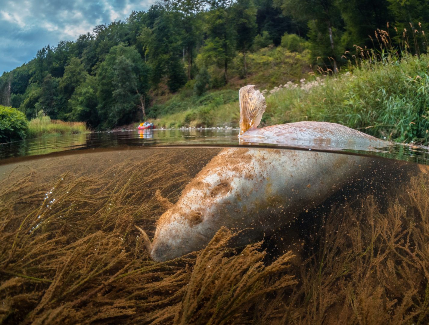 Time to Kyll Foto & Bild | wasser, natur, fisheye Bilder auf fotocommunity