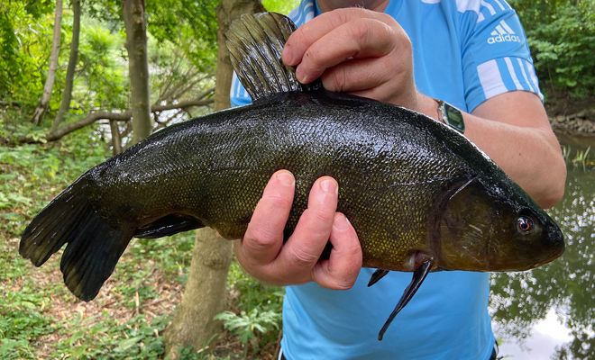 Kreis Warendorf Bilder & Fotos