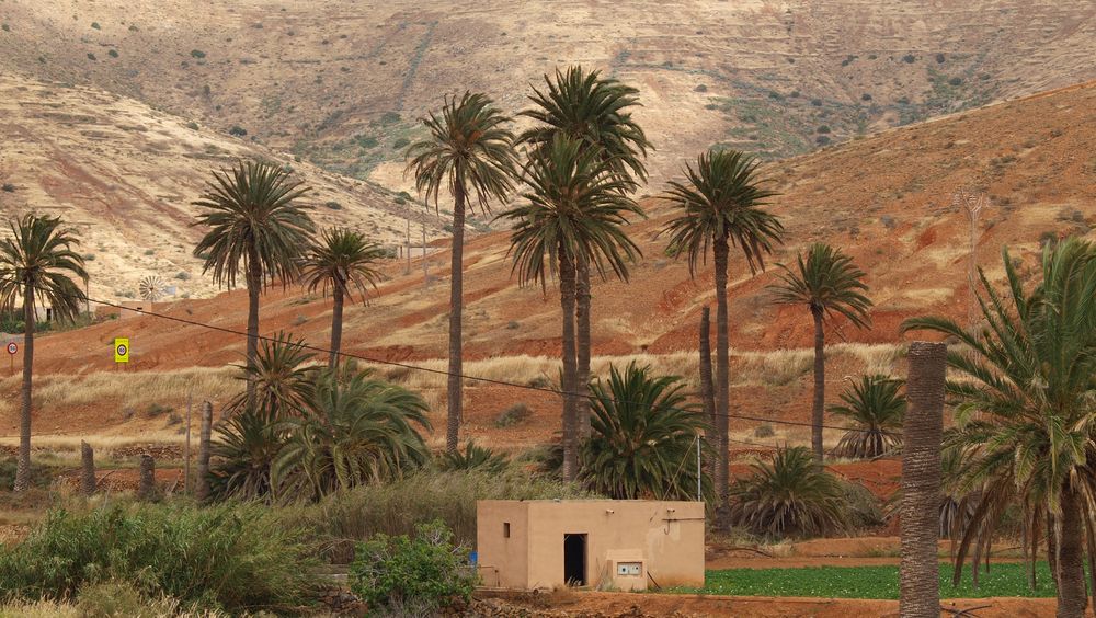 tipico! Foto & Bild | architektur, europe, canary islands die kanaren ...