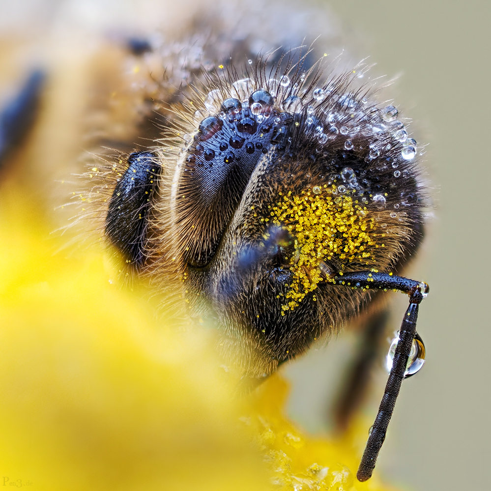 ToDay Foto & Bild | fotos, makro, natur Bilder auf fotocommunity