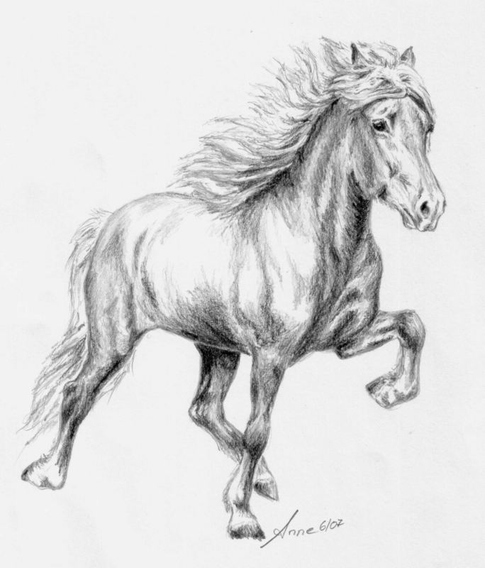 Tölt Foto & Bild | 2d-grafik, zeichnungen, digiart Bilder auf fotocommunity