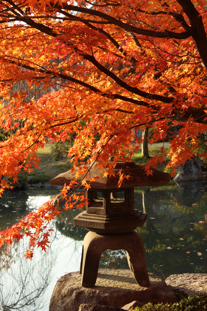 Toji Temple Foto & Bild | asia, japan, east asia Bilder auf fotocommunity
