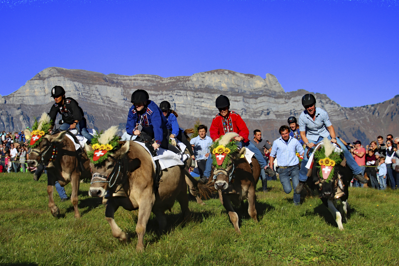 Tollkühne Reiterinnen Foto & Bild | natur, schweiz, aktion Bilder auf ...