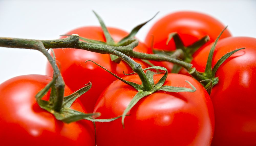 Tomaten Foto & Bild | stillleben, food-fotografie, obst & gemüse Bilder ...