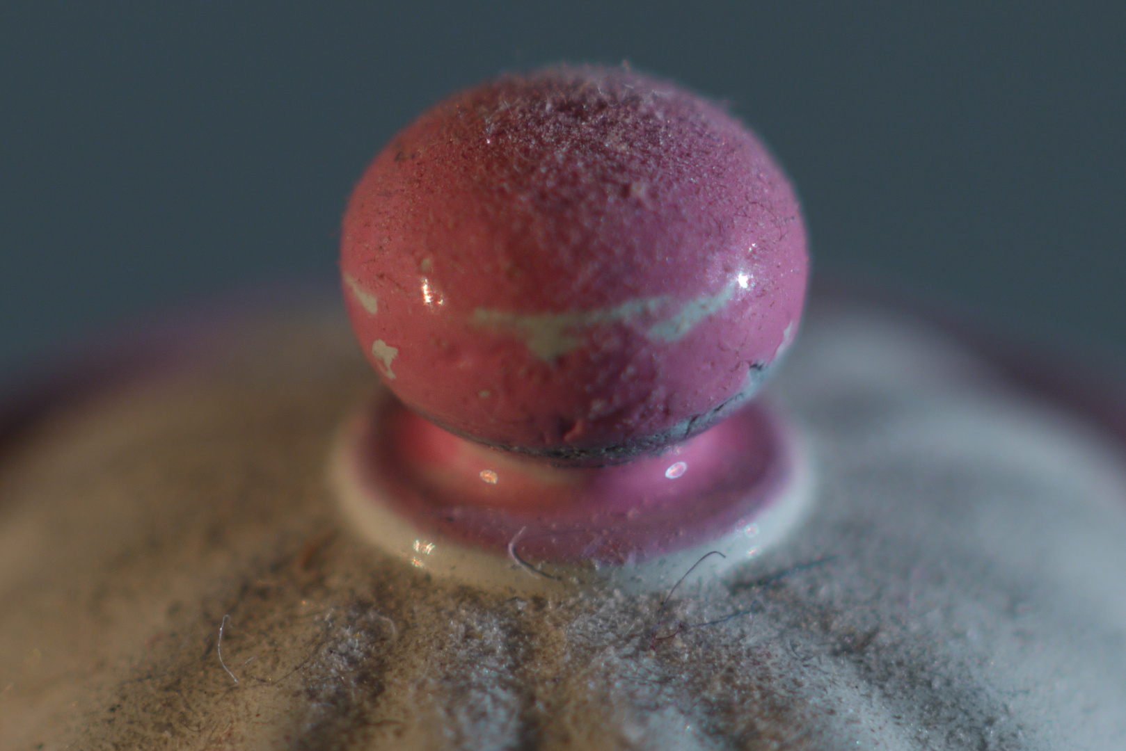 Topfdeckel Foto & Bild | nah- & makro, techniken, aufnahme-techniken Bilder auf fotocommunity