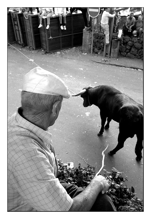 Torada Foto & Bild | europe, portugal, açores Bilder auf fotocommunity