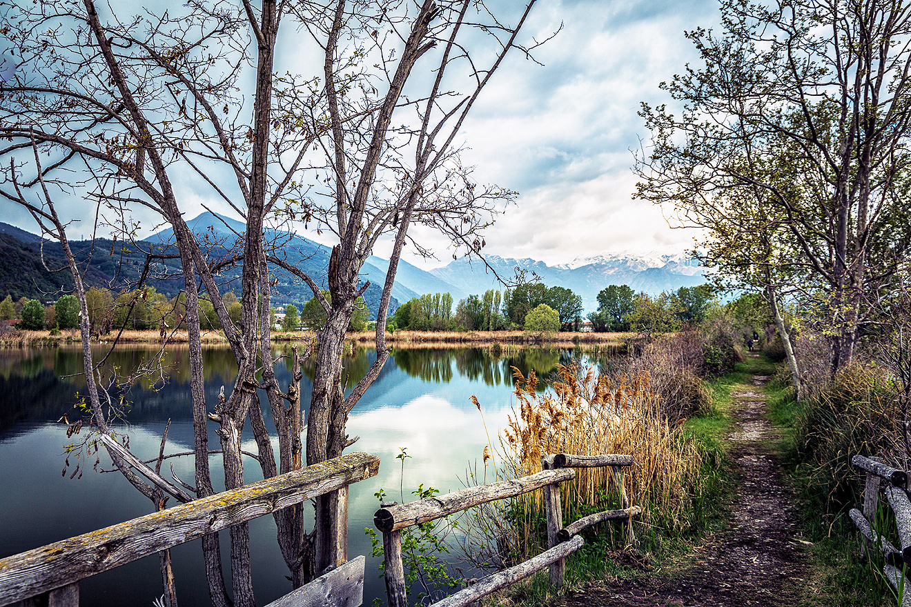 Torbiere del Sebino Foto & Bild | landschaft, lebensräume, italy Bilder ...