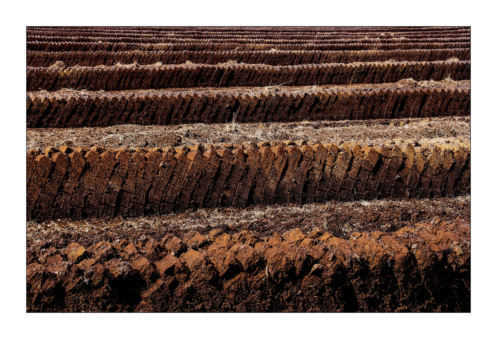 Torf Foto & Bild | landschaft, moor, torf Bilder auf fotocommunity