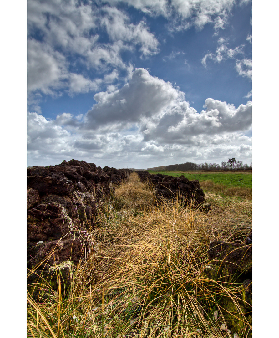 Torf aus dem Moor... Foto & Bild | bearbeitungs - techniken, hdri & tm ...