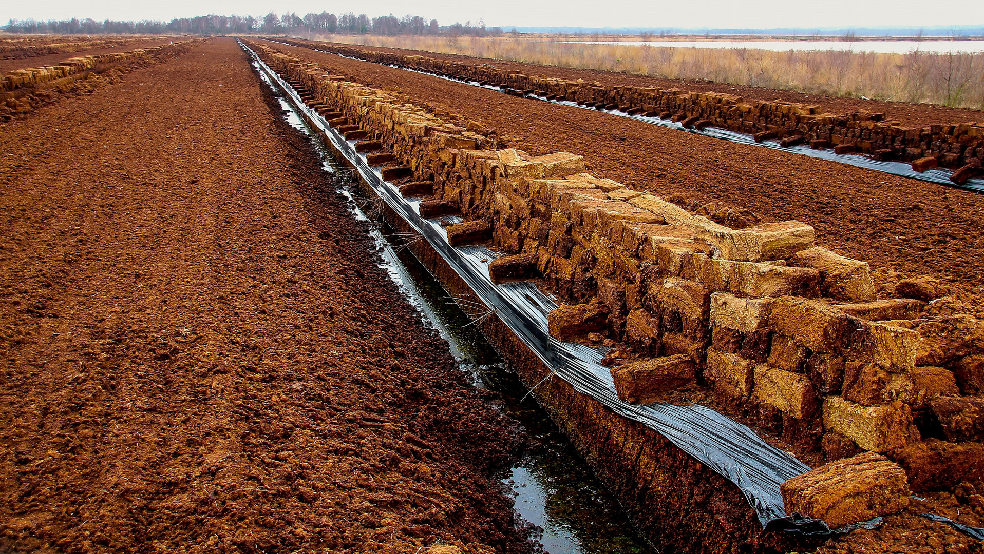 Torfabbau 2 Foto & Bild | natur, landschaft, moor Bilder auf fotocommunity
