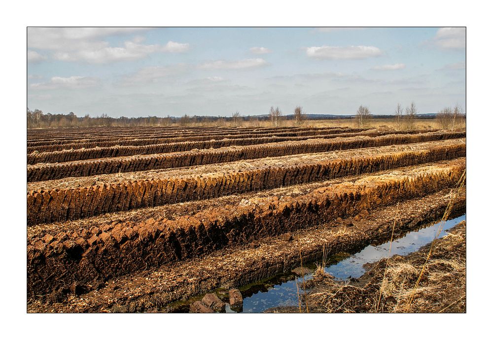 Torfabbau Foto & Bild | natur, landschaft, moor Bilder auf fotocommunity