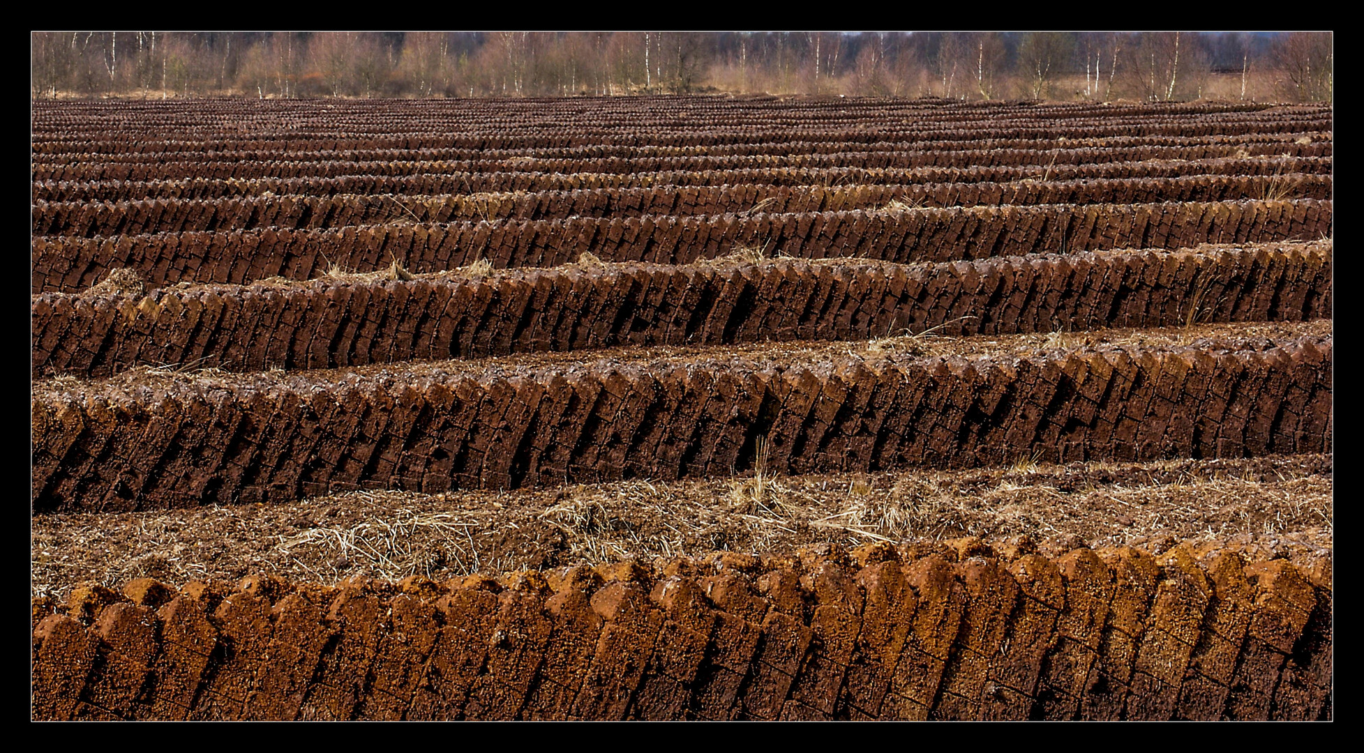 Torfabbau im Südlohner Moor Foto & Bild | natur, landschaft, moor ...