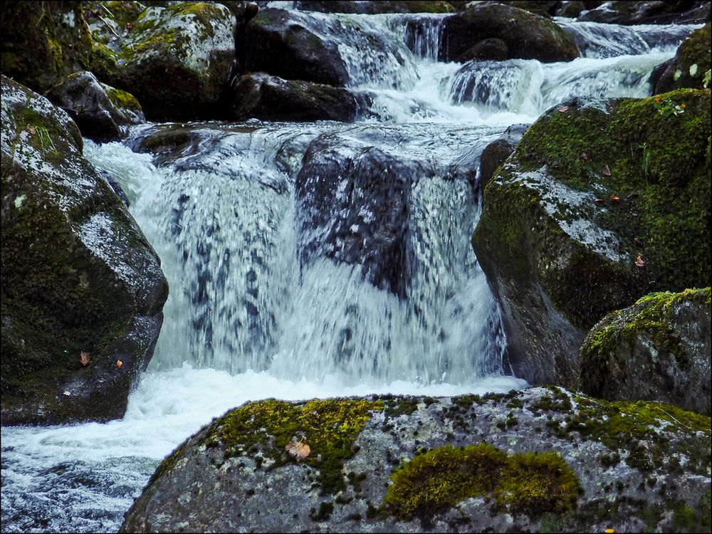 Torrent photo et image | paysages, lacs, rivières, cascades, nature ...