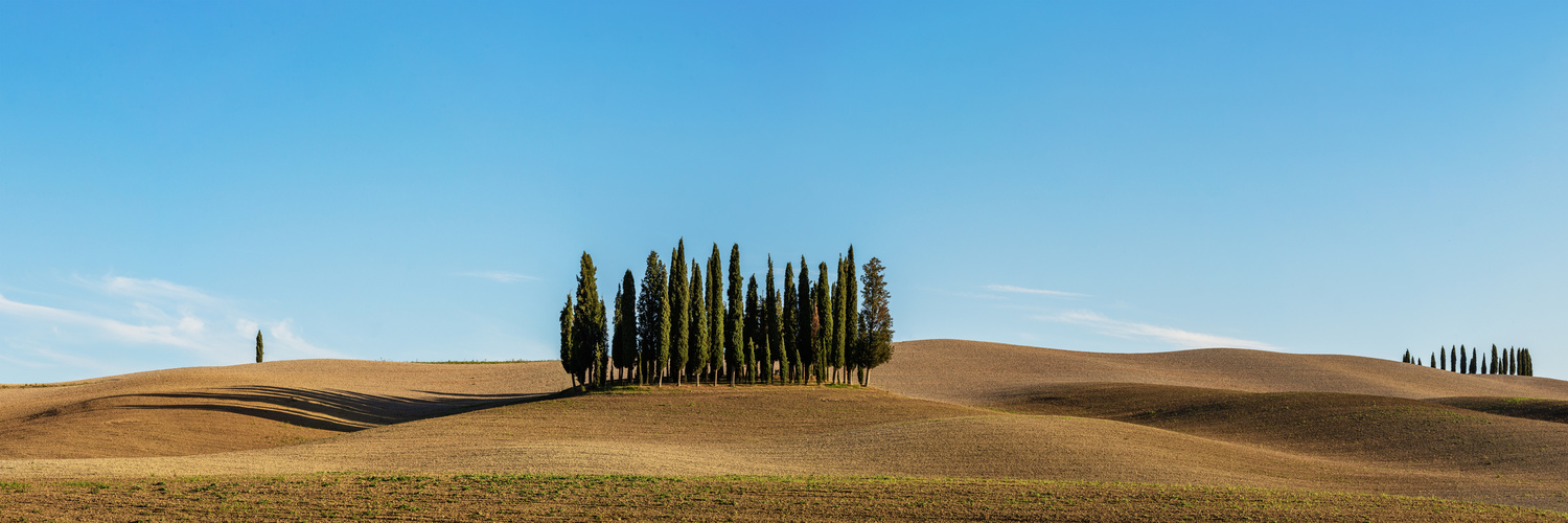 Toskana. Zypressenhain. Foto & Bild | italy, world, spezial Bilder auf fotocommunity