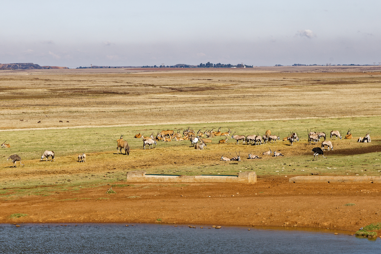 TotalEnergies Petroport N4 Alzu_1 Foto & Bild | africa, southern africa ...