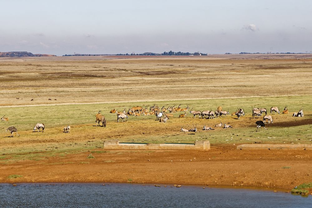 TotalEnergies Petroport N4 Alzu_1 Foto & Bild | africa, southern africa ...