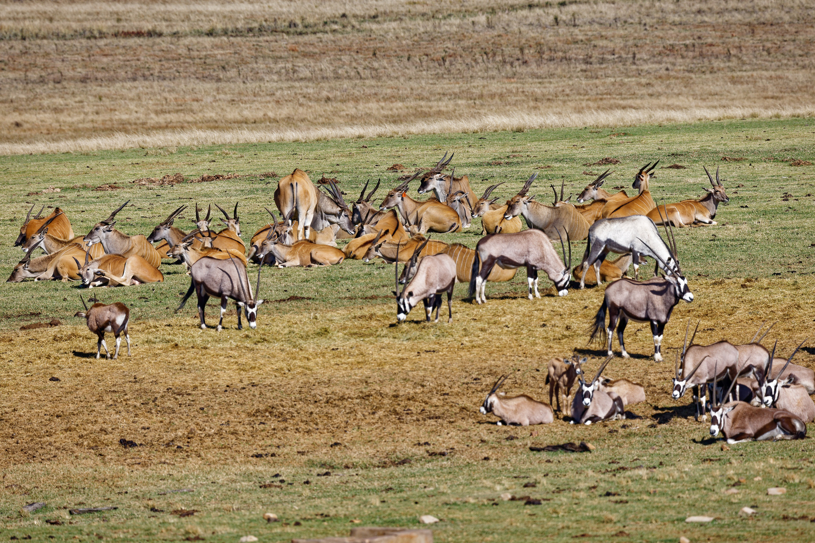 TotalEnergies Petroport N4 Alzu_3 Foto & Bild | africa, southern africa ...