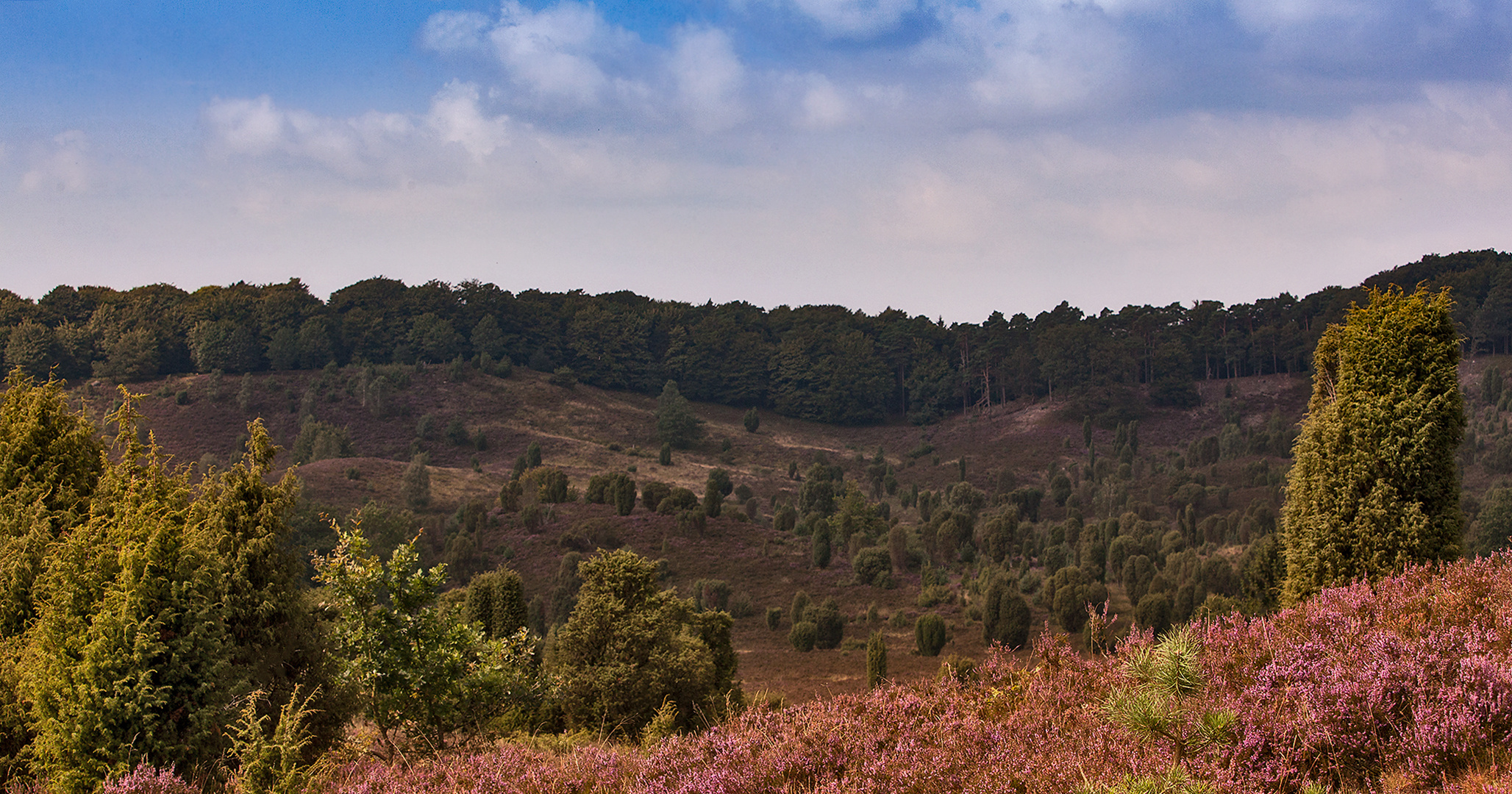 Totengrund Foto & Bild | jahreszeiten, sommer, wald Bilder auf ... Totengrund Foto & Bild | jahreszeiten, sommer, wald Bilder auf ...