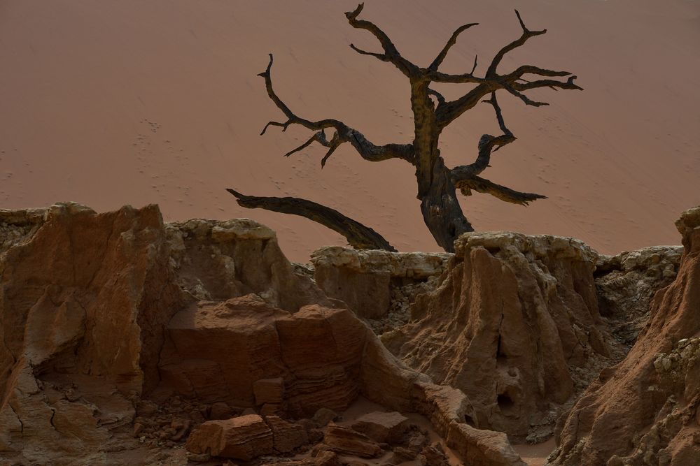 Toter Baum im Dead Vlei Foto & Bild | africa, southern africa, namibia ...