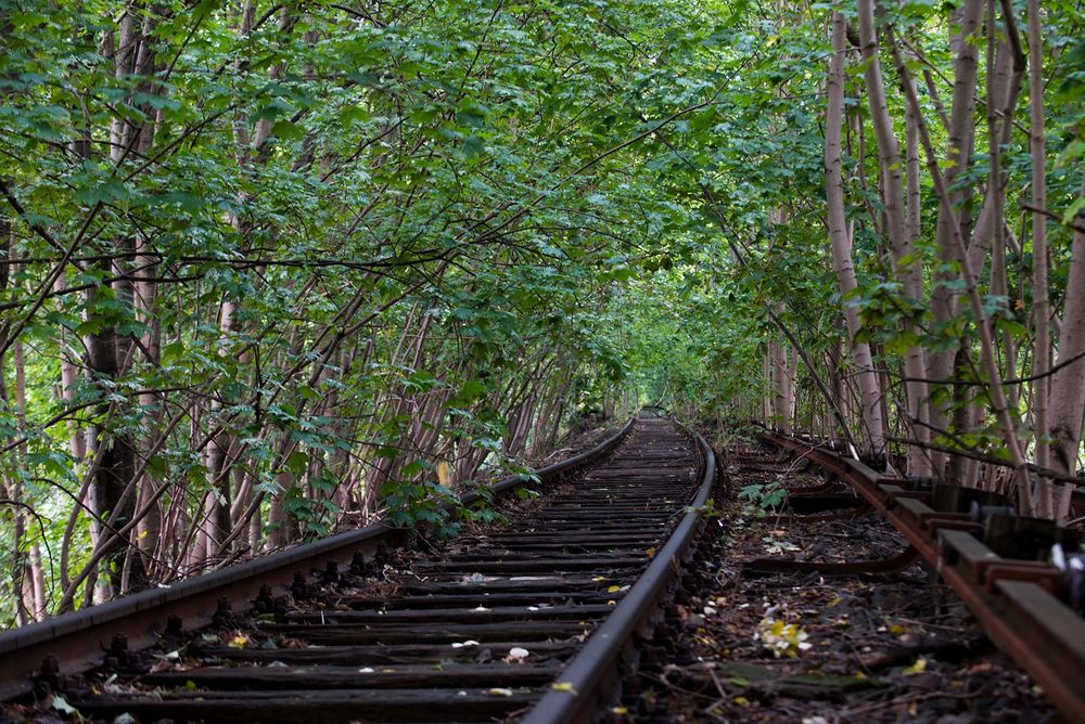 totes Gleis Foto & Bild | architektur, lost places, wirtschaftswunden ...