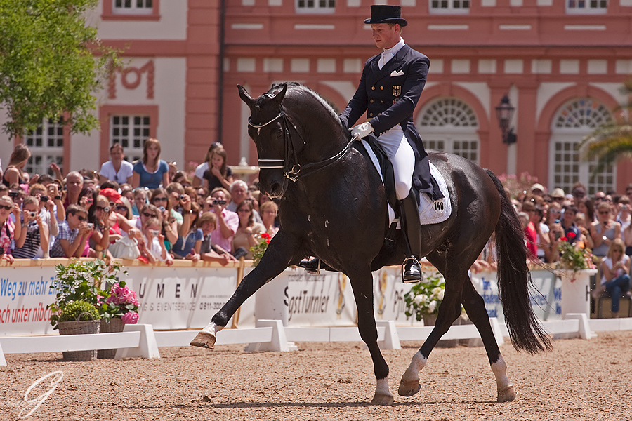 Totilas 1 Foto & Bild | sport, sport mit tieren, pferdesport Bilder auf ...