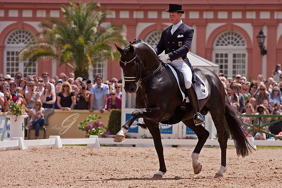 Totilas 2 Foto & Bild | sport, sport mit tieren, pferdesport Bilder auf ...