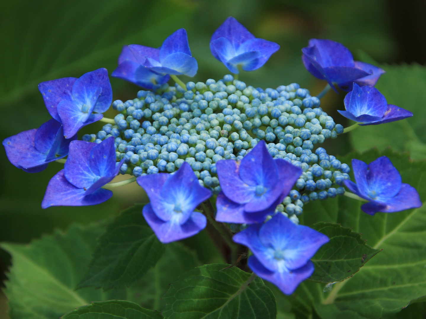 tourner en rond ! photo et image | animations photographiques, special ...