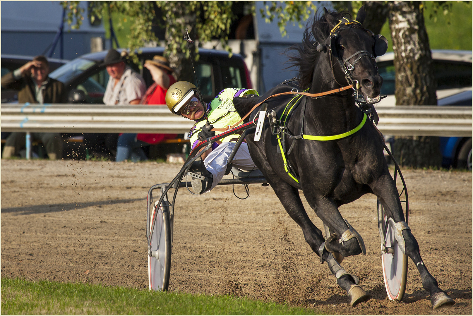Traber Foto & Bild | sport, pferdesport, trabrennen Bilder auf ...