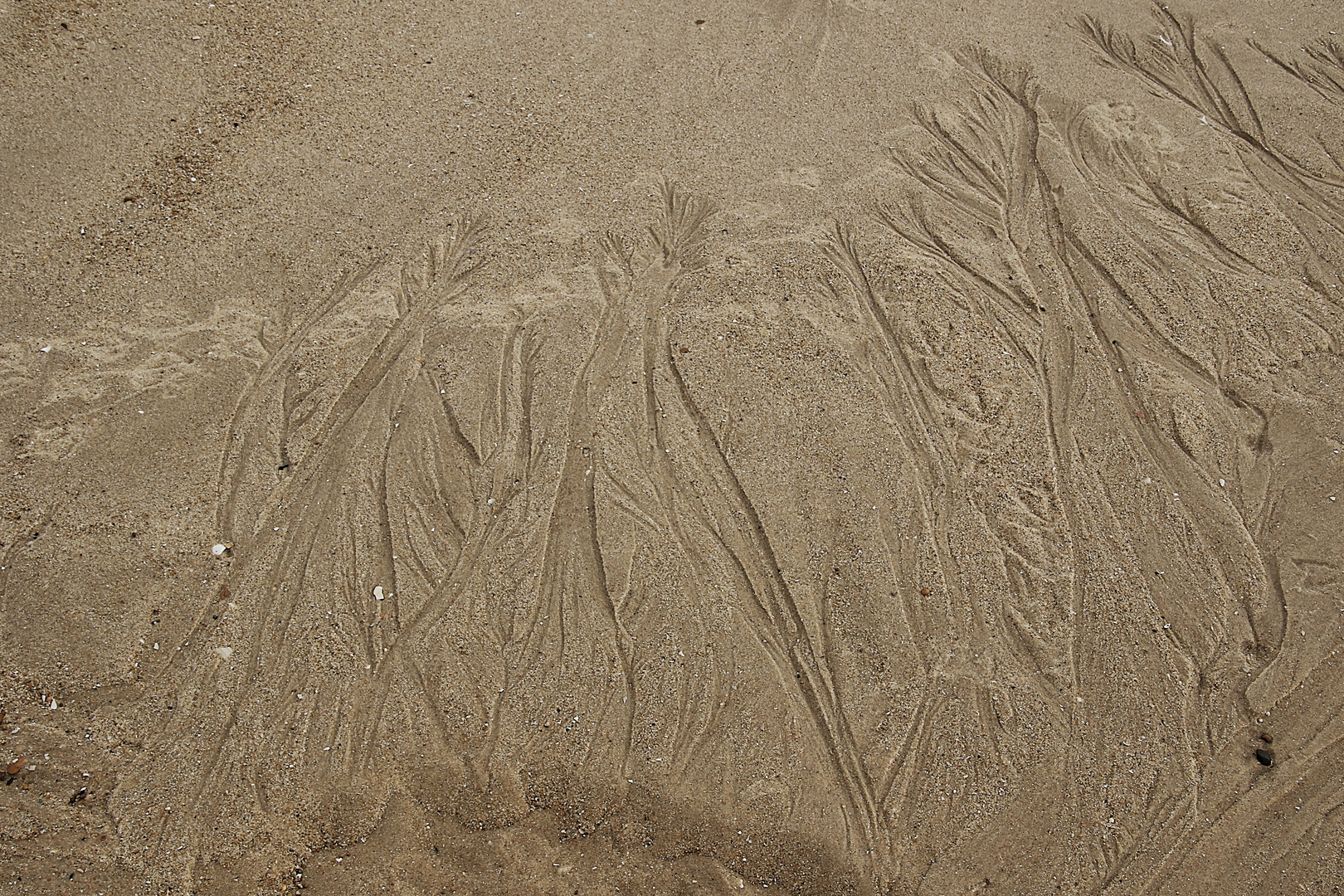 traces ! photo et image | special, animations photographiques Images ...