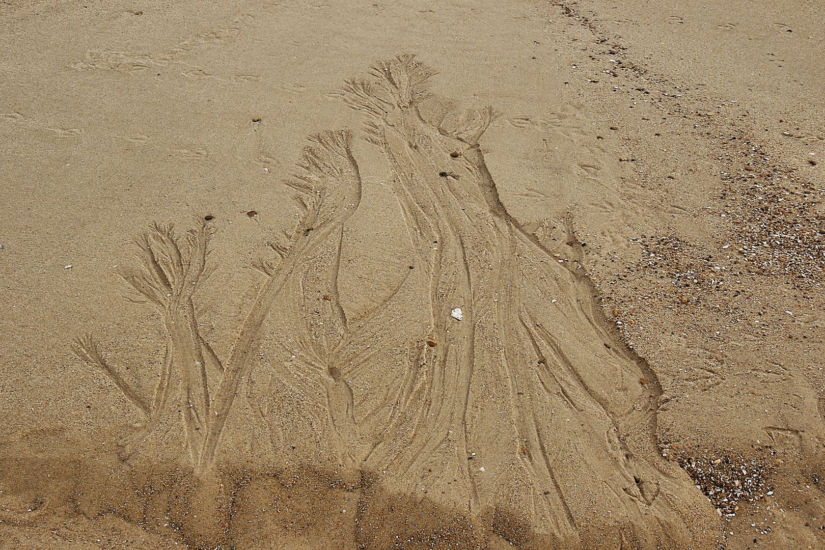 traces !!! photo et image | nature Images fotocommunity