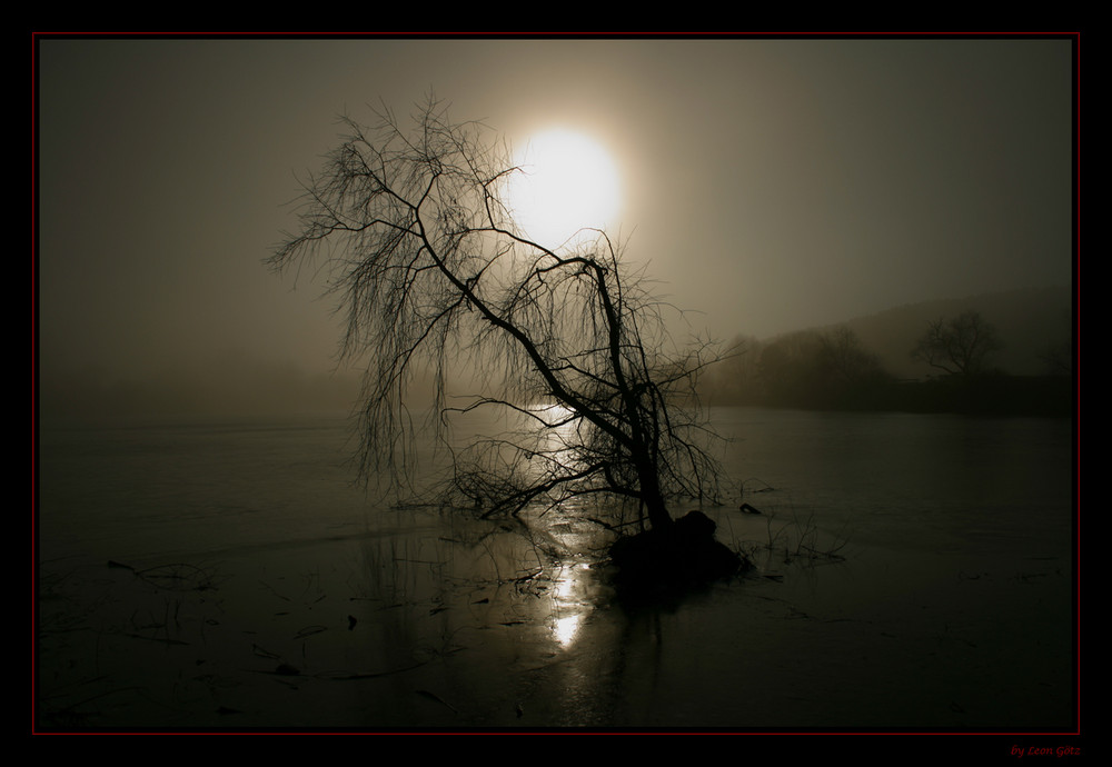 Träge steht er da Foto & Bild | jahreszeiten, winter, natur Bilder auf ...