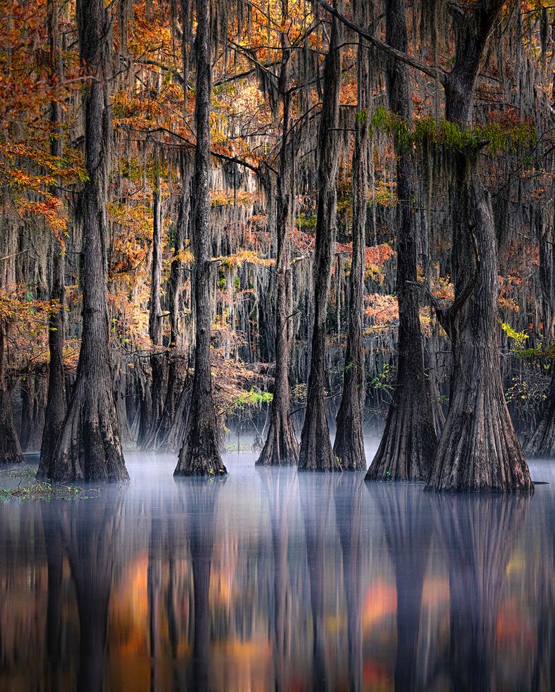 TRANSITION Foto & Bild | north america, united states, texas Bilder auf ...