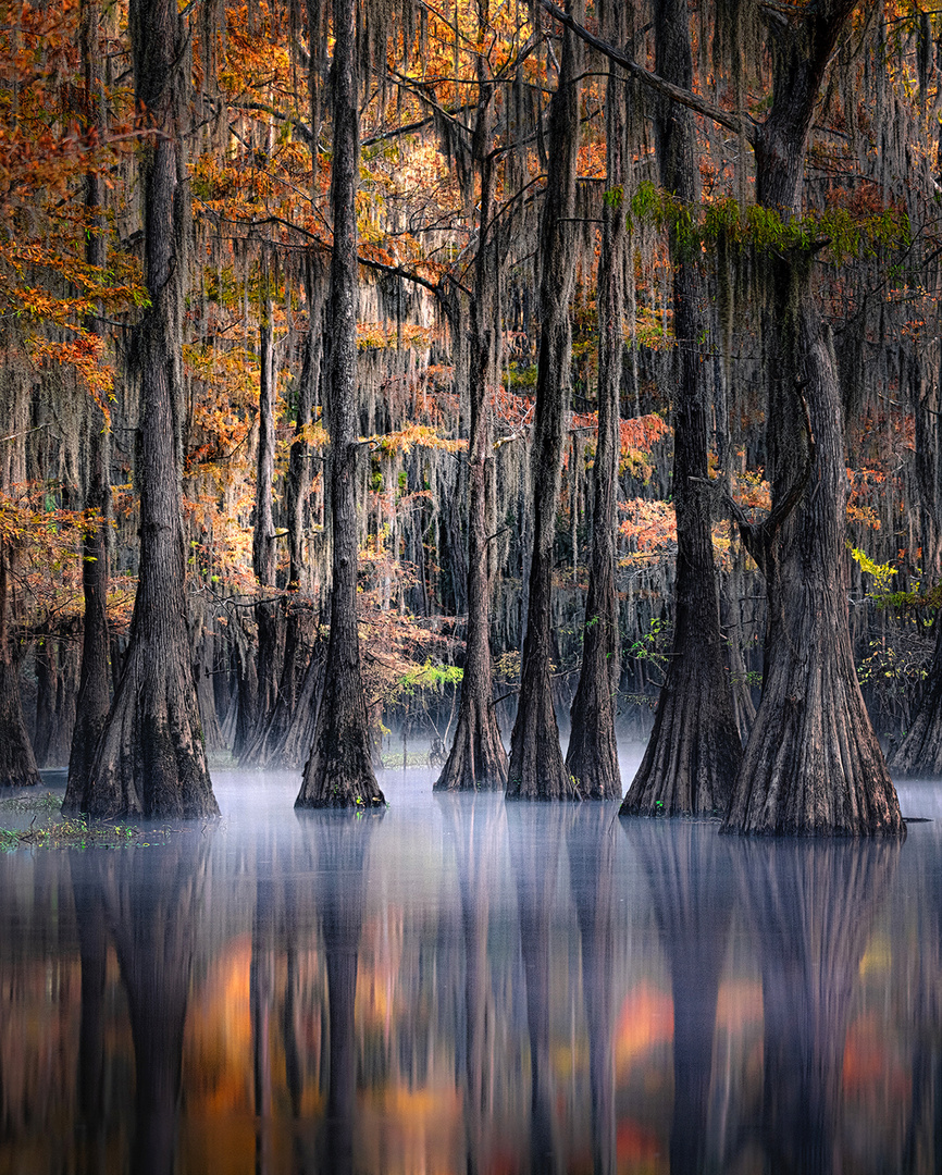 TRANSITION Foto & Bild | north america, united states, texas Bilder auf ...