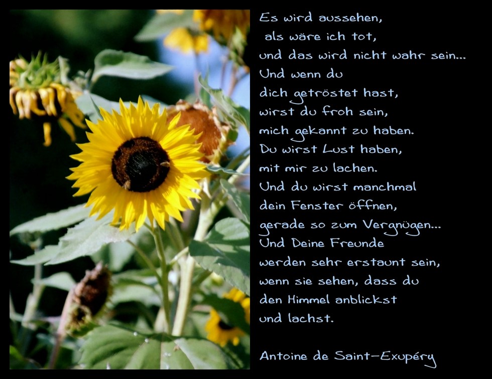 Trauer... Foto & Bild | trauerkarten, trauer, spezial Bilder auf ...