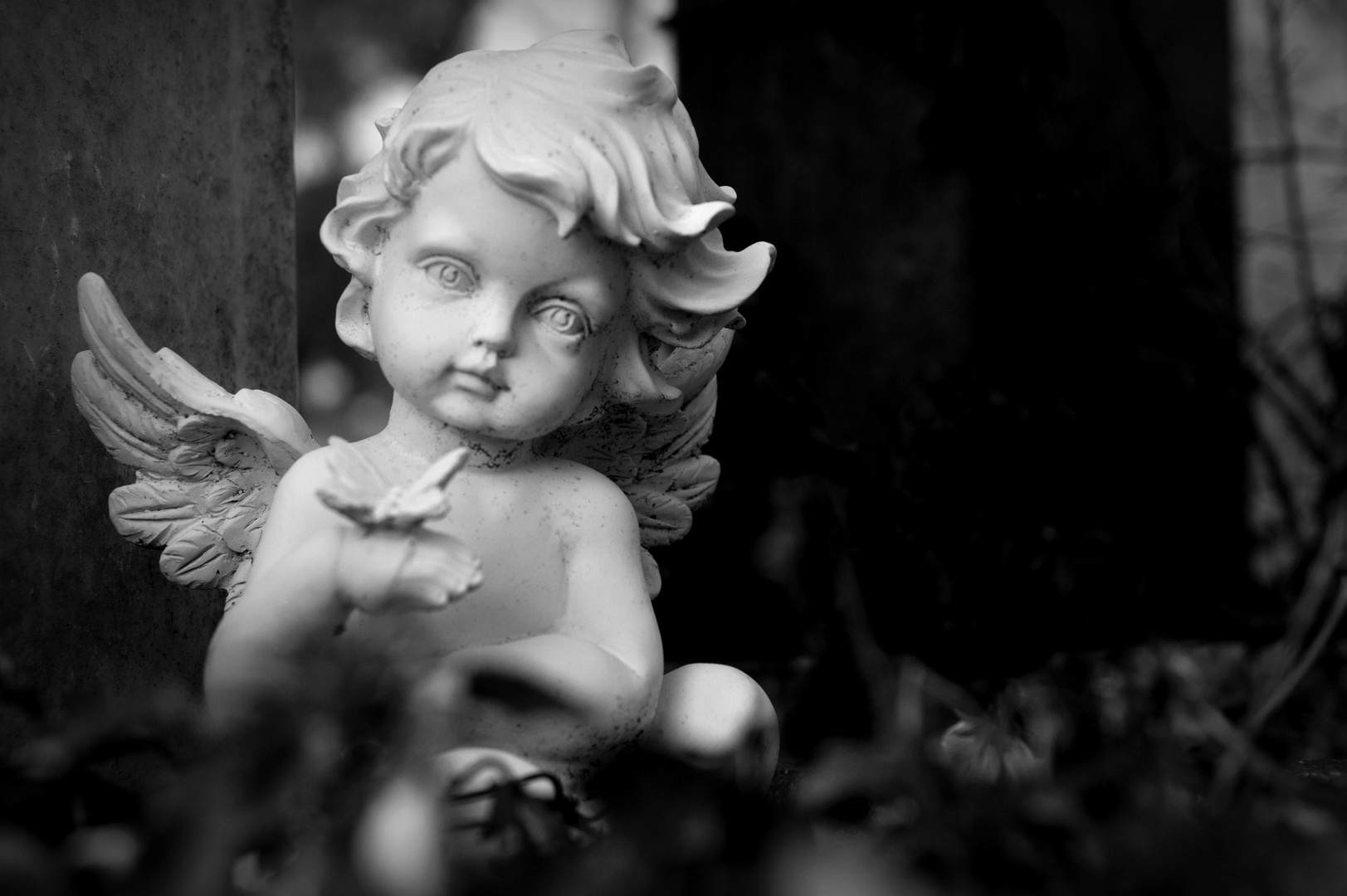 Trauer Foto & Bild | trauer, trauer - ein gefühl in bildern, tod trauer ...