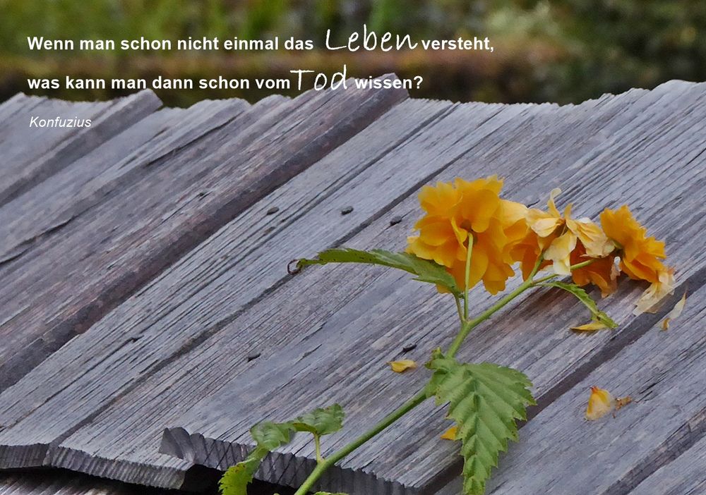 Trauer Foto & Bild | spezial, trauer, karten Bilder auf fotocommunity