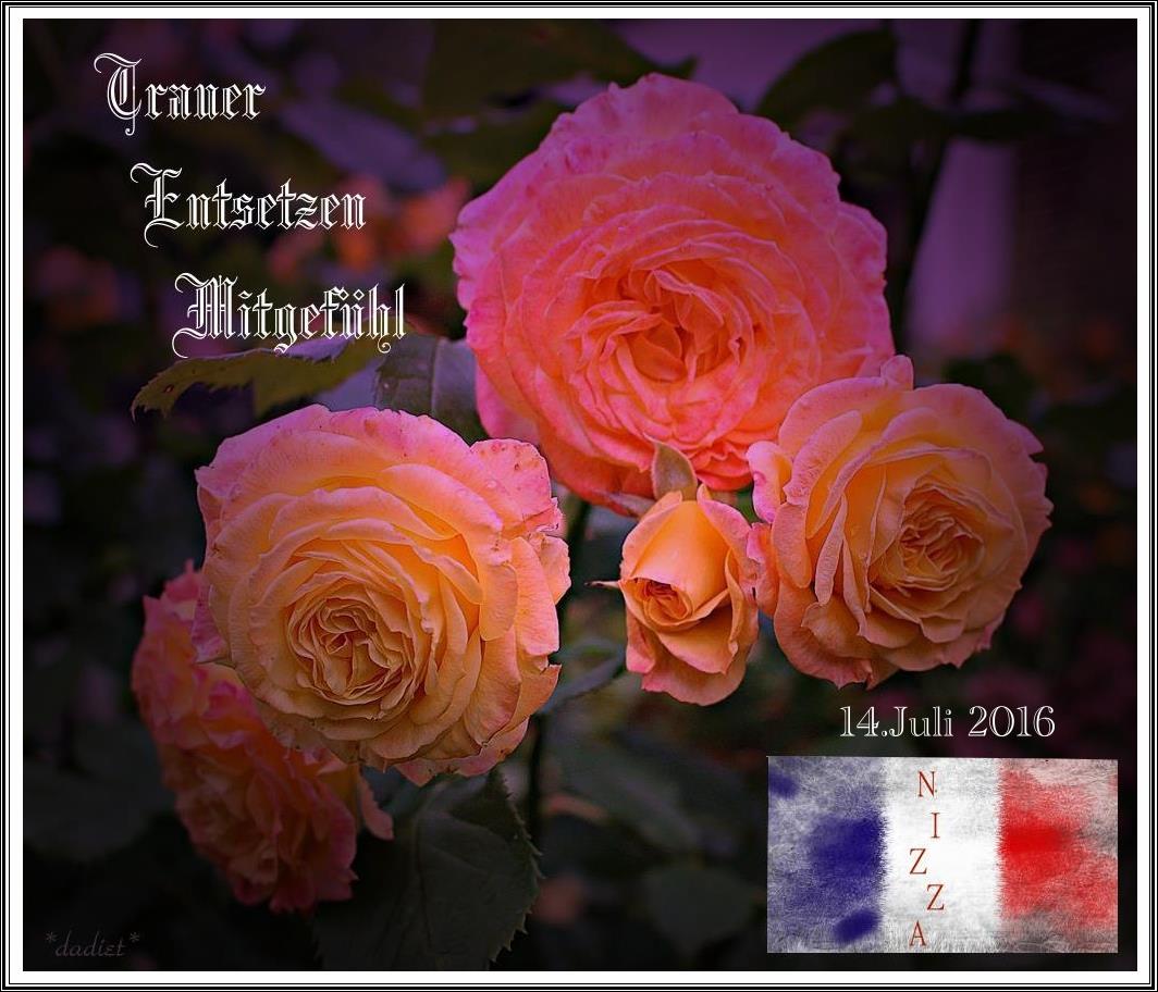 Trauer - Entsetzen - Mitgefühl Foto & Bild | spezial, trauer ...