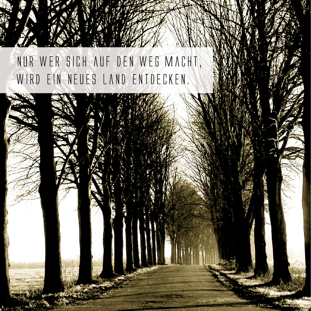 Trauerkarte 32 Foto & Bild | trauerkarten, trauer, hell Bilder auf ...