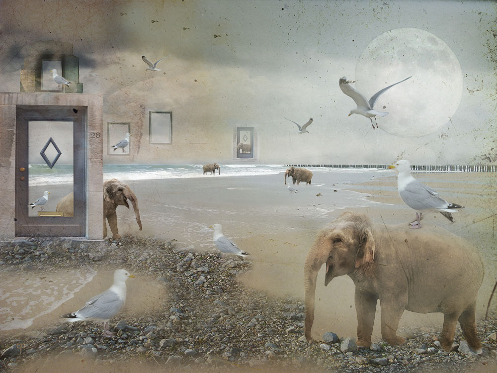 Traum 28 "Zeitfenster" Foto & Bild | fotomontage, fantasy mystery, composings Bilder auf ...