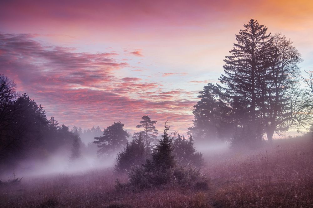 Traum in Rosa und Pink Foto & Bild | sonnenaufgang, natur, herbst ...