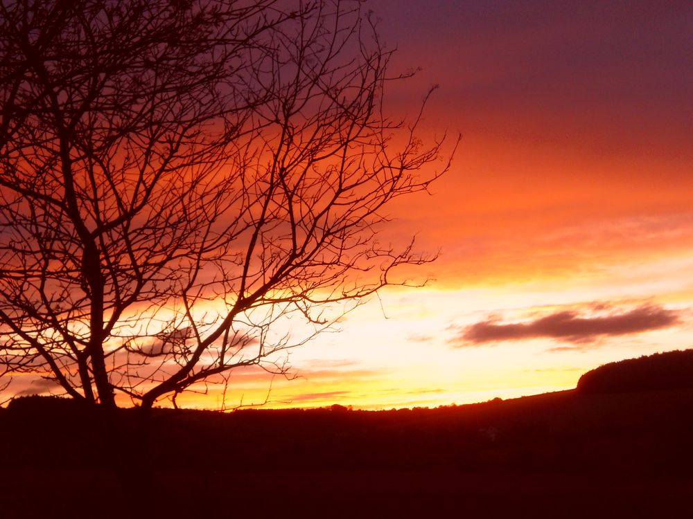 Traumhafte Abendstimmung Foto & Bild | sonnenuntergänge, himmel ... Traumhafte Abendstimmung Foto & Bild | sonnenuntergänge, himmel ...